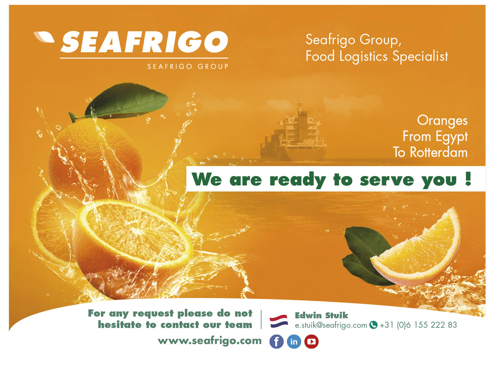 Import of oranges from Egypt to Rotterdam – SeafrigoNet